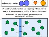 Equilibrium Definition Overview Expii