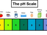 Ph Scale And Examples Acidic Basic Neutral Solutions Determining
