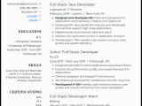 13 Real Full Stack Developer Resume Examples That Worked In 2025