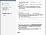13 Programmer Resume Examples For 2025