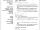 5 Junior Java Developer Resume Examples For 2026