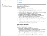13 Programmer Resume Examples For 2025