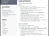 17 Real Java Developer Resume Examples That Worked In 2025
