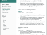 Computer Programmer Resume 15 Programmer Resume Templates Doc Pdf