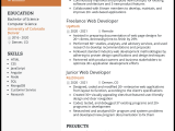 Web Developer Resume Sample Software Developer Resume Examples For