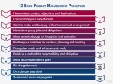Project Management Principles Explained Sprintzeal