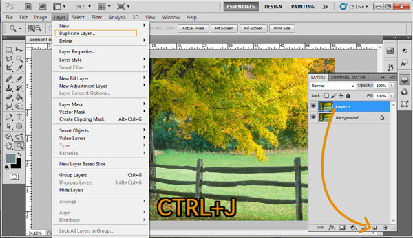 Use the Mixer Brush in Photoshop CS5 to Turn a Photo Into a Realistic ...
