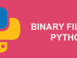 Binary Files In Python Tpoint Tech