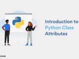 A Guide To Python Class Attributes And Class Methods