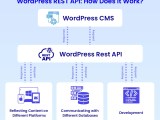 Tг M Hiб ѓu Wordpress Rest Api Lг Gг Vг Cгўch Sб Dб ґng Hiб U Quбєј Trong Phгўt