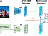 Csa Canonical Similarity Analysis