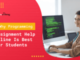 4 Reason Students Find Programming Assignment Help Difficult Instasolving