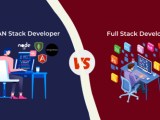 What To Choose Mean Stack Or Full Stack Developer Agile Infoways Llc
