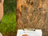 Why Use A Certified Arborist Arborspec