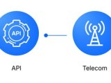 Sms Api Tutorial A Beginner S Guide