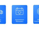 Sms Api Tutorial A Beginner S Guide