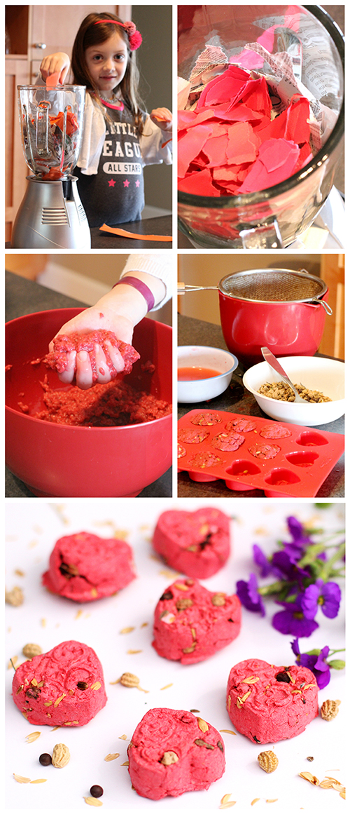 DIY Seed Bombs - Dabbles & Babbles