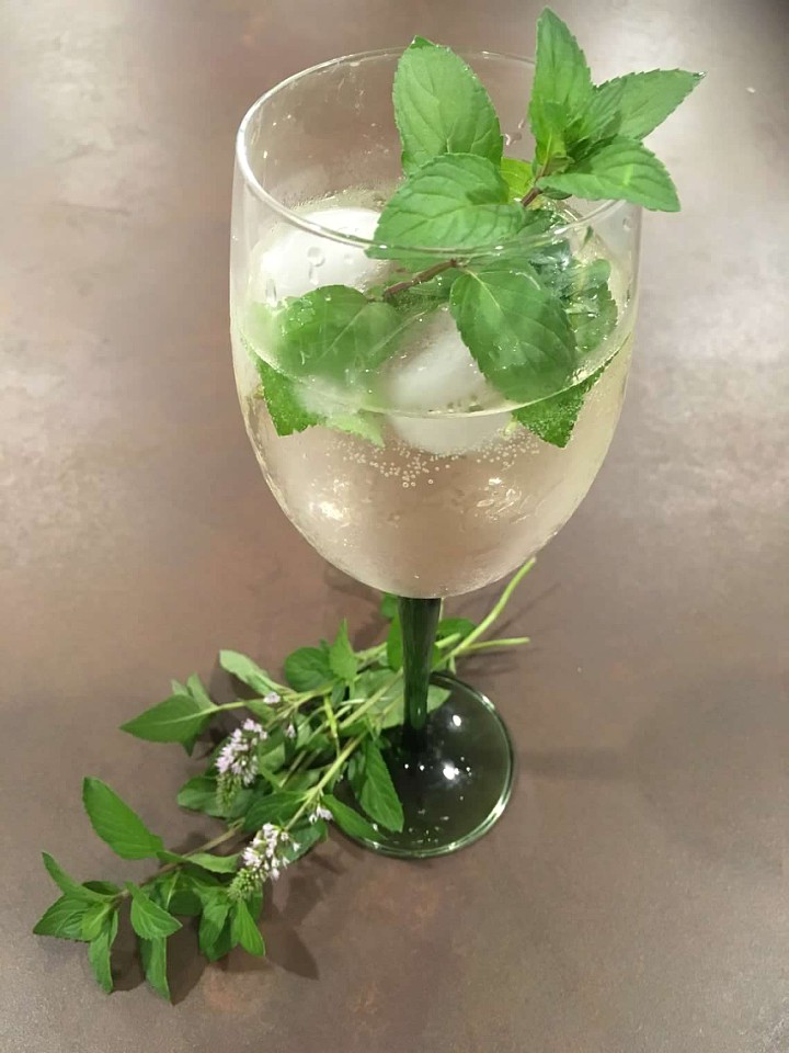 Herbs and ‘The Hugo’