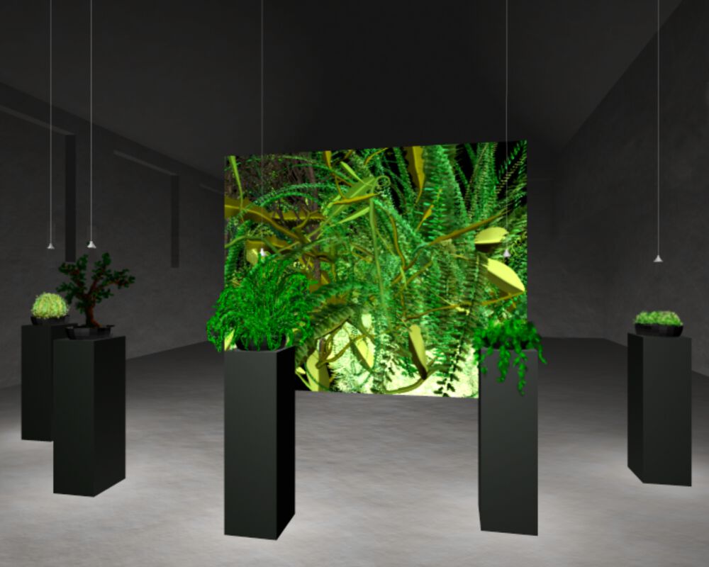 Interactive Plant Growing - DAM MUSEUM