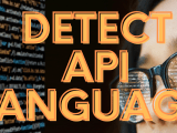 How To Detect The Programming Language Of An Api Dana Epp S Blog