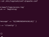 Analyze Apache Access Logs With Elastic Enigma Glass Documentation