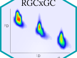Preprocessing And Multivariate Analysis Of Bidimensional Gas