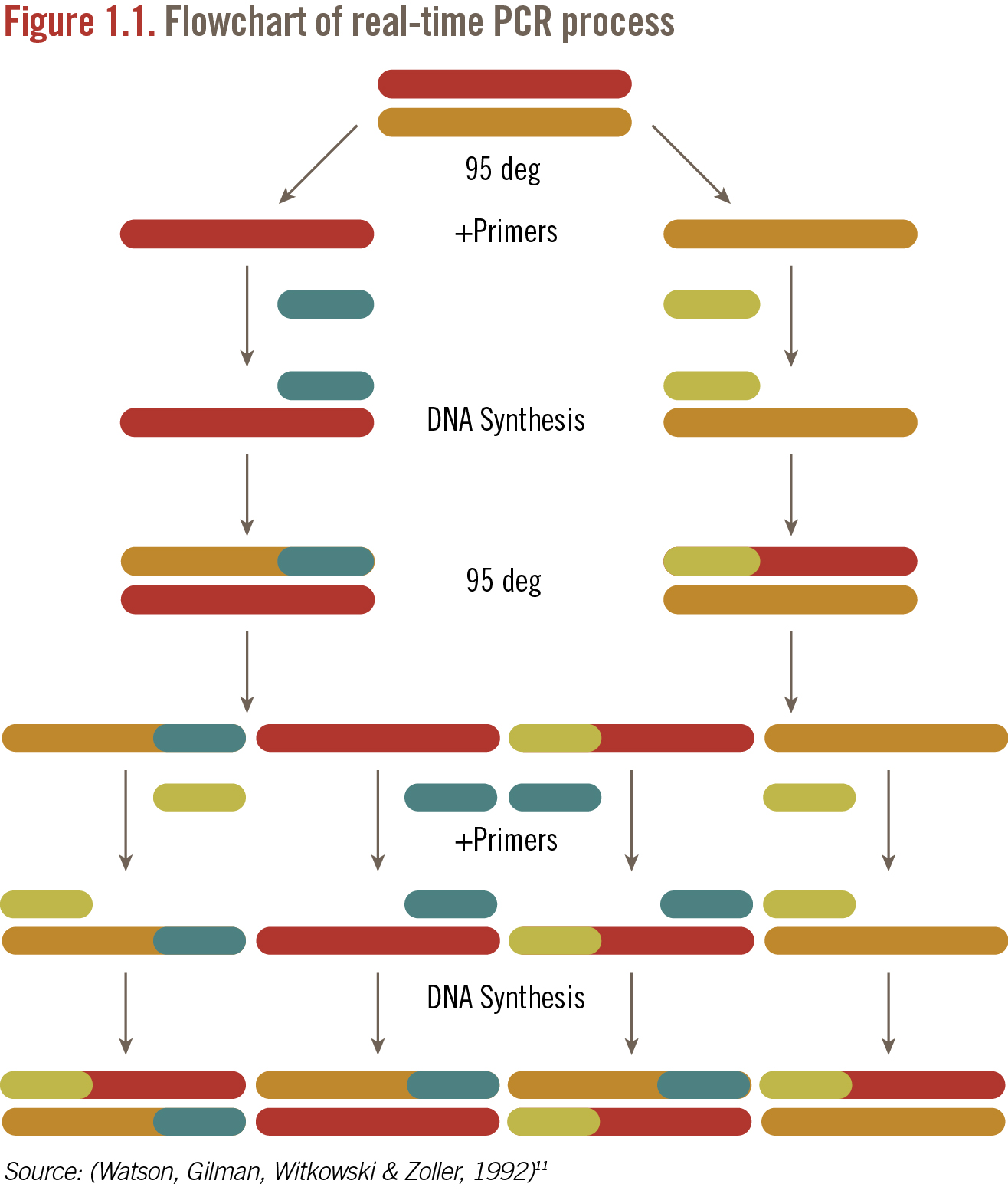 Digital PCR Poised to Give Traditional Real-Time PCR a Run for Its ...