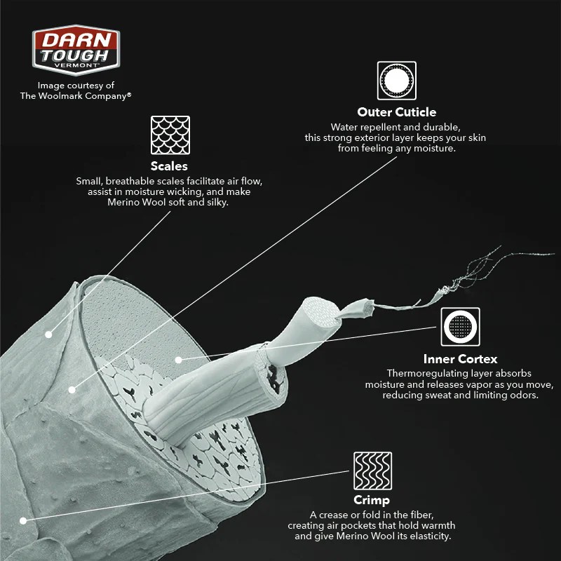 The Science Of Merino Wool Fibers Darn Tough