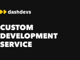 Custom Software Development Dashdevs Custom Software Developer