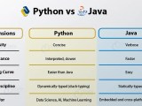 Java Vs Python Which One Is Best For You Infographic Python Vs R For