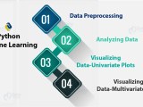 Data Preprocessing Analysis Visualization Python Machine Learning