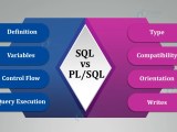 Sql Vs Pl Sql Difference Between Sql And Plsql Dataflair