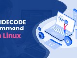 Dmidecode Command In Linux With Examples Dataflair