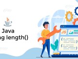 Java String Length Method With Examples Dataflair