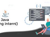 Java String Intern Method With Examples Dataflair