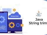Java String Trim Method With Examples Dataflair