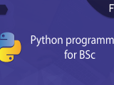 Free Python Course For Bsc With Certificate In Hindi Dataflair