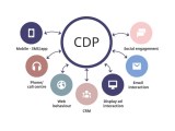 What Is A Customer Data Platform Cdps Explained Data Org