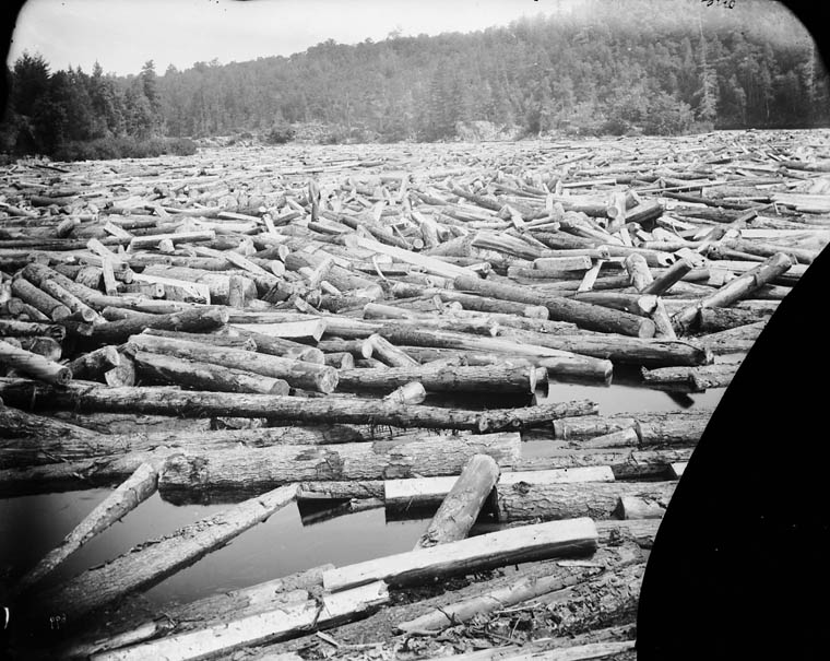 Old Perth | lindaseccaspina