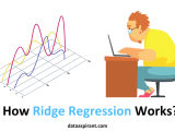 Mastering Ridge Regression Comprehensive Guide And Practical Applications