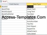 Data Types In Microsoft Access With Examples Vba Access Access