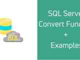 Sql Server Convert Function Databasefaqs