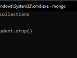 Mongodb Drop Collection Databasefaqs