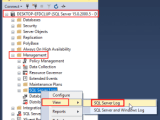 View Sql Server Error Logs Databasefaqs