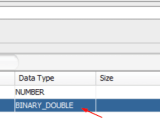 Oracle Binary Double Datatype Databasefaqs
