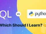 Sql Vs Python Which Should I Learn