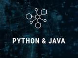 Introduction To Programming With Python And Java Datafloq