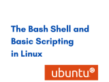 The Bash Shell And Basic Scripting In Linux Datafloq