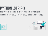 Python Strip How To Trim A String In Python Datagy