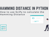 Calculate Hamming Distance In Python With Examples Datagy